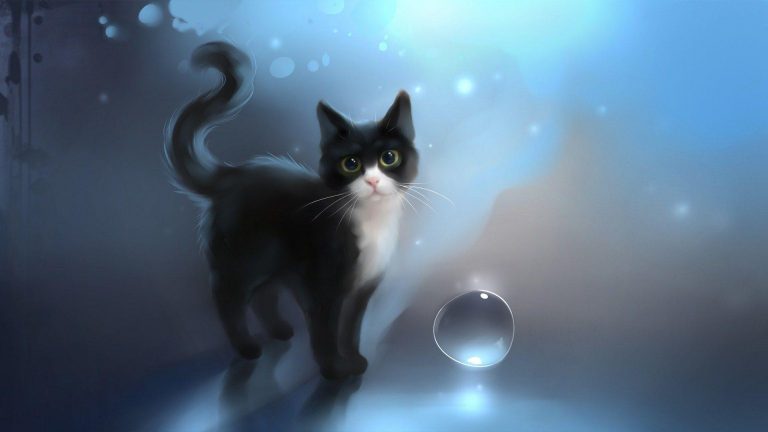 Hình nền mèo cute, background mèo anime đẹp - Tobitu.com
