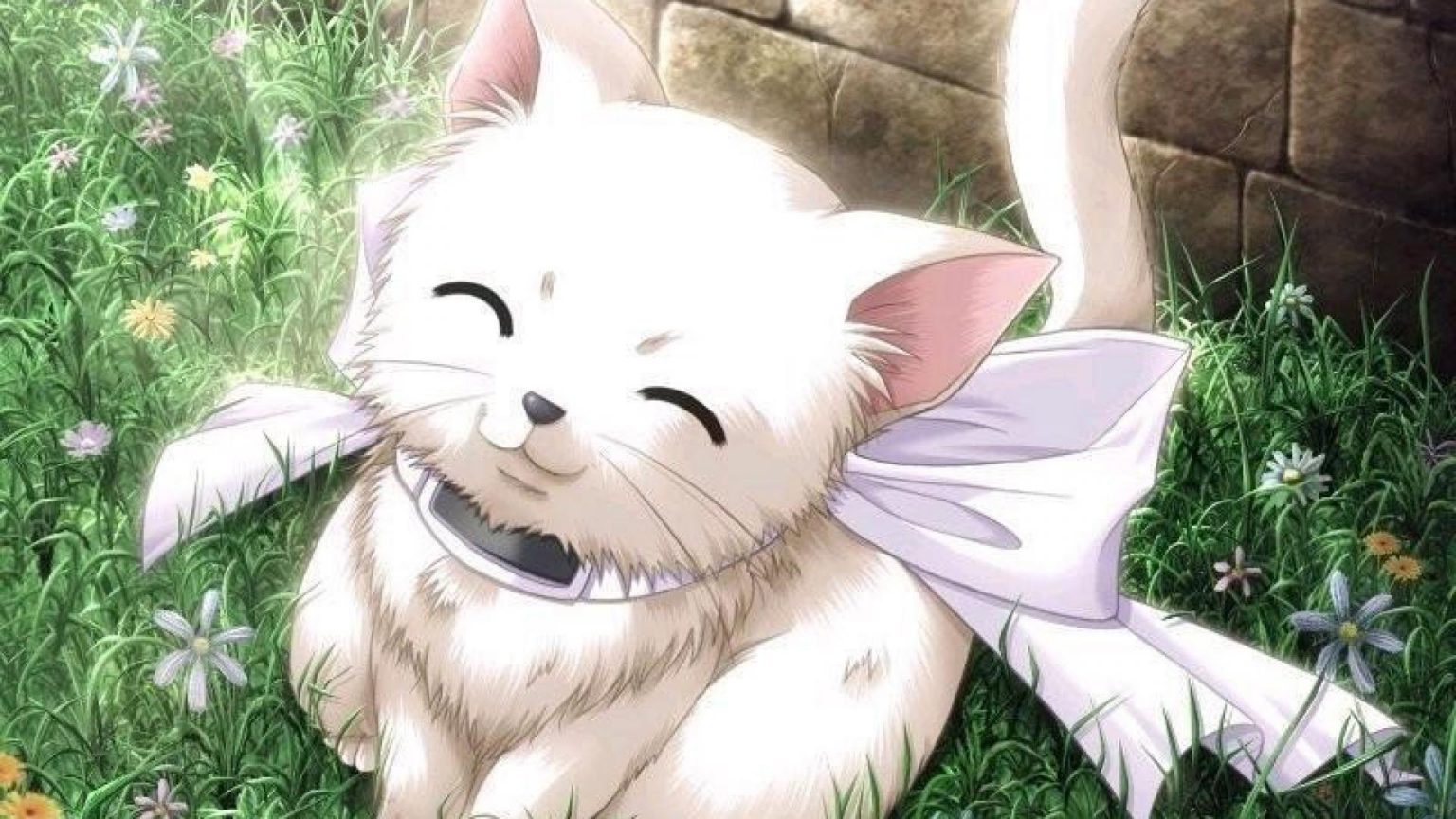 Hình nền mèo cute, background mèo anime đẹp - Tobitu.com
